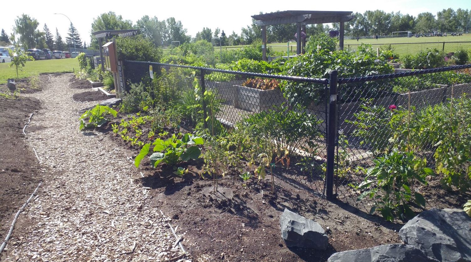 Edible Garden – Silver Springs Community Association