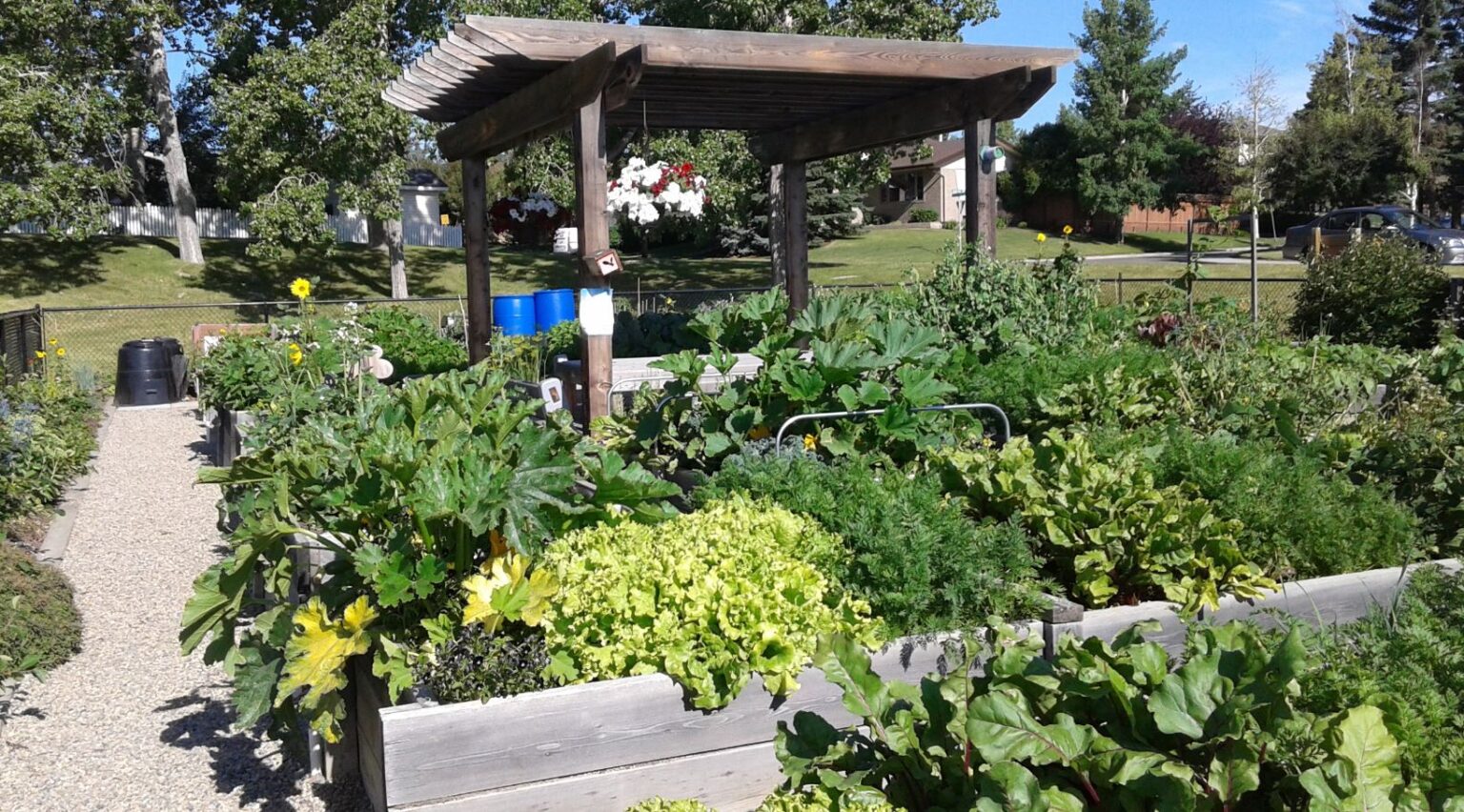 Edible Garden – Silver Springs Community Association